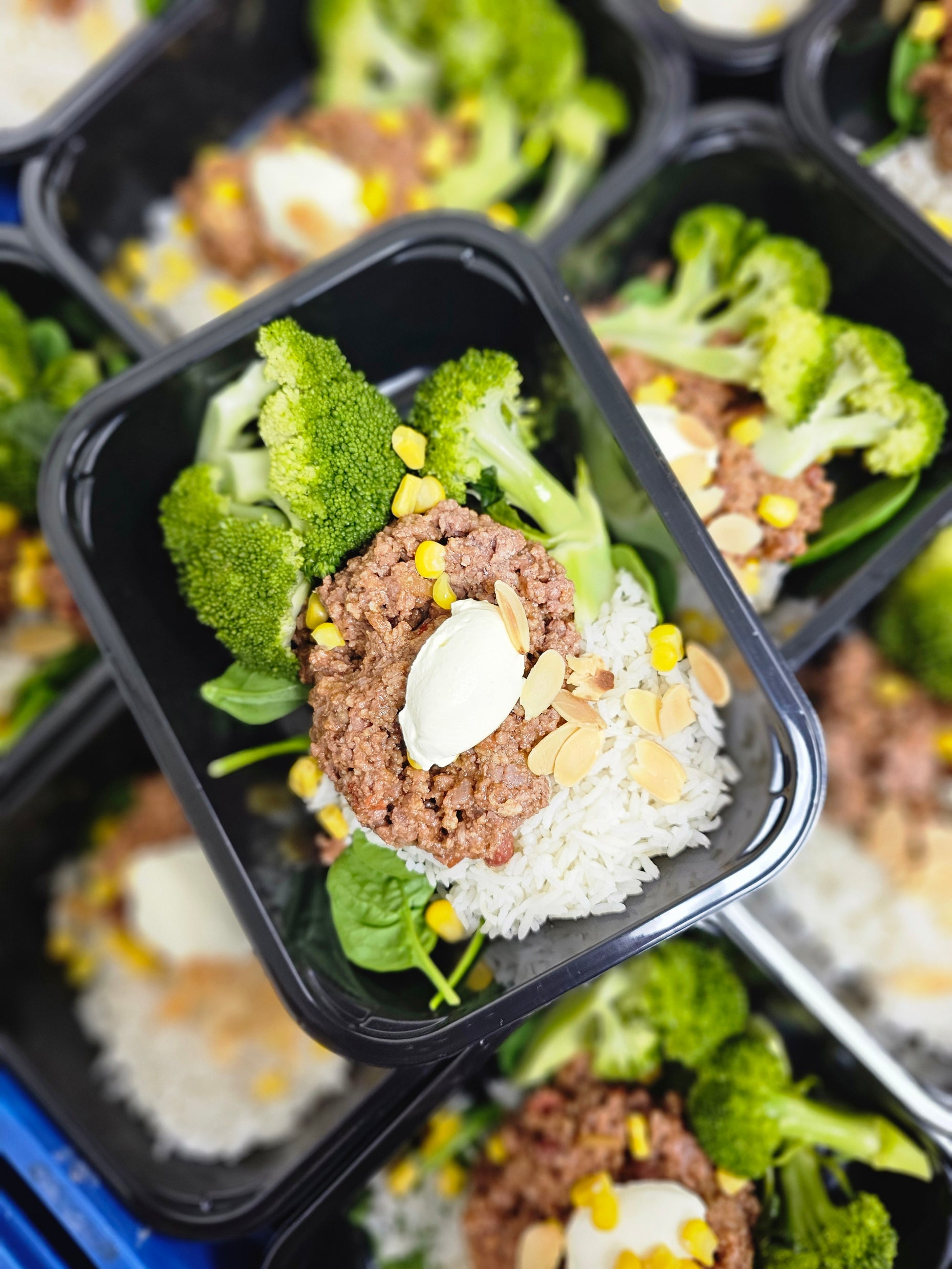 Freshly prepared macro and calorie counted nutritious meals – The ...