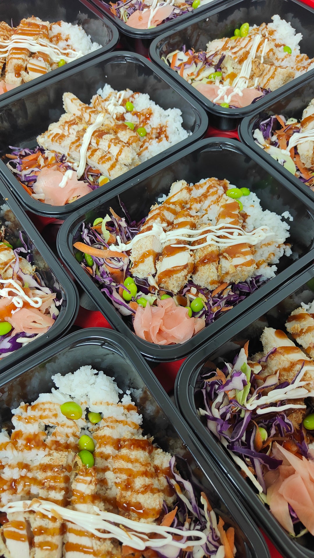 Freshly prepared nutritious meals, delivered to your DOOR! – The ...