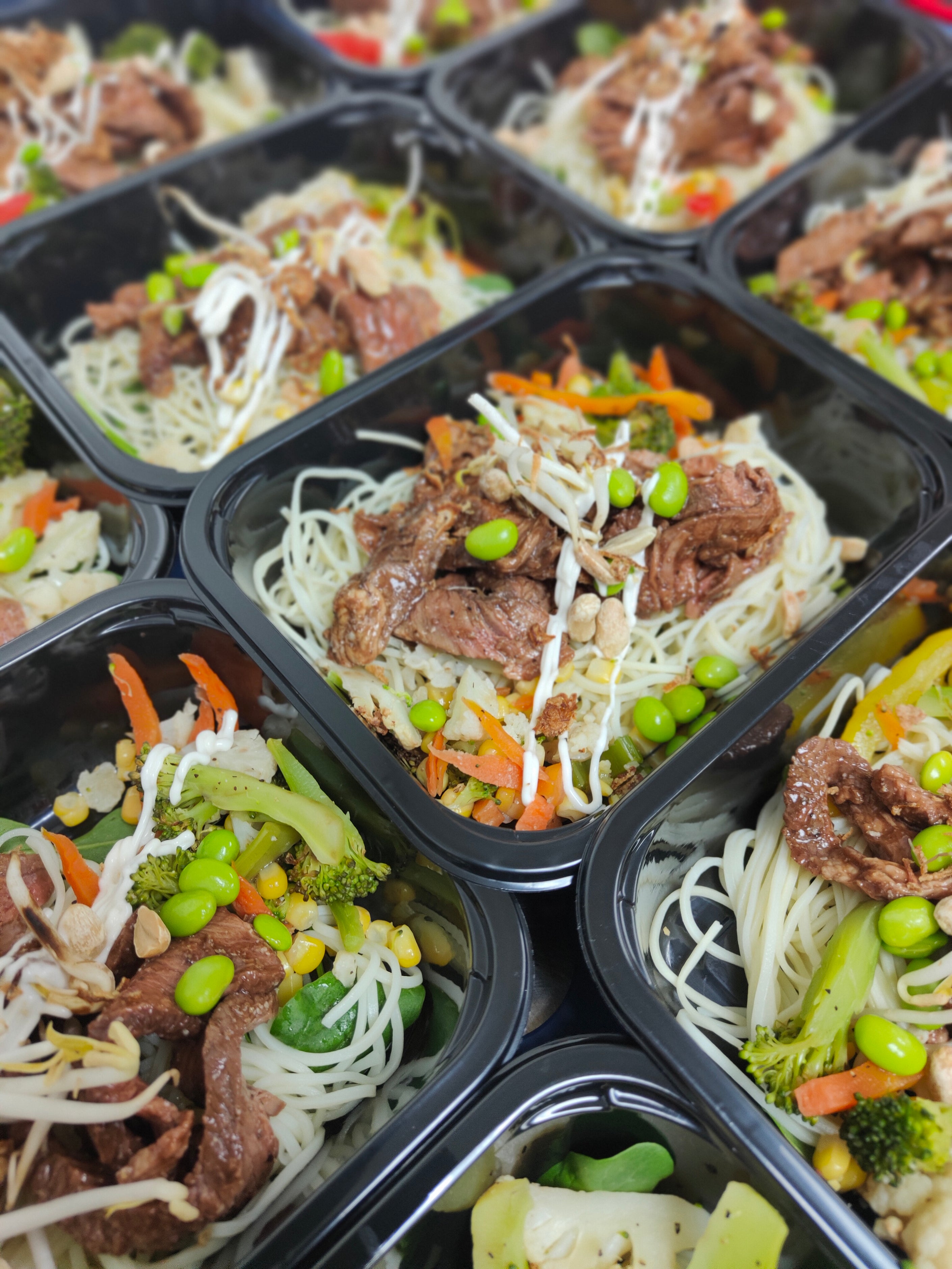 Freshly prepared nutritious meals, delivered to your DOOR! – The ...